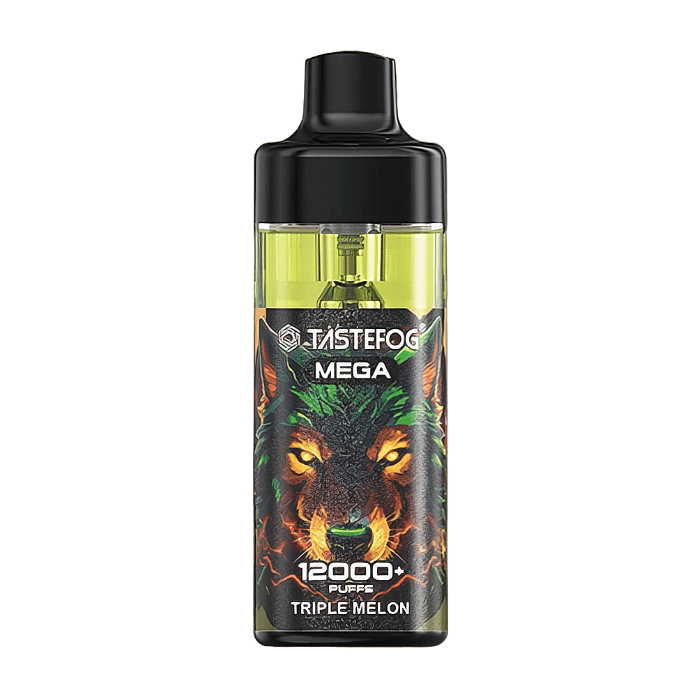 TASTEFOG MEGA 12000 puffs 2% Nicotine Rechargeable Disposable Pod ...