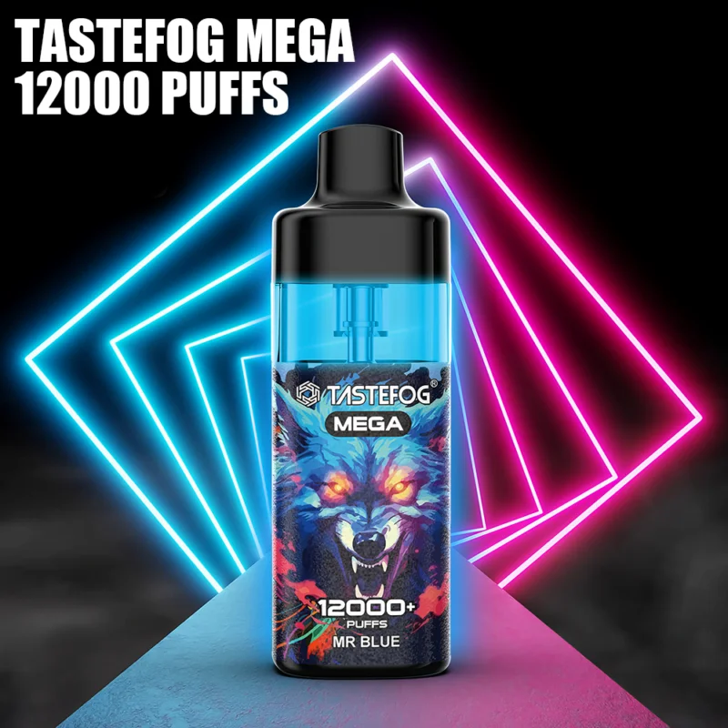 TASTEFOG MEGA 12000 puffs 2% Nicotine Rechargeable Disposable Pod ...