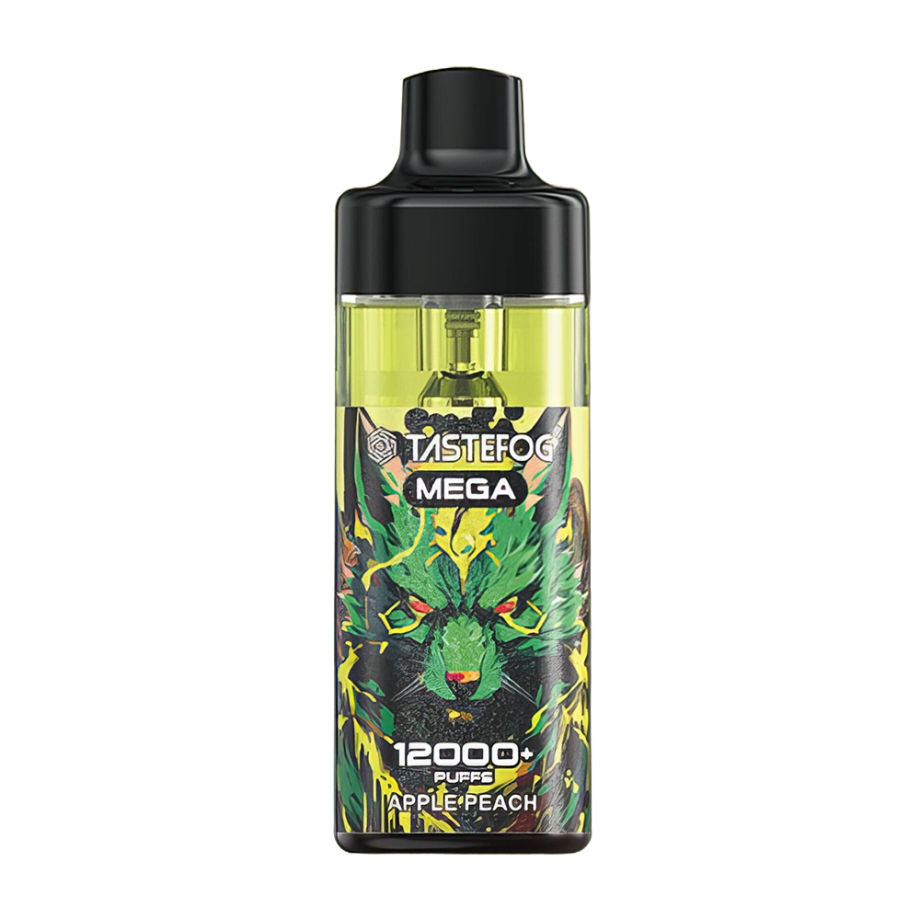 TASTEFOG MEGA 12000 puffs 2% Nicotine Rechargeable Disposable Pod ...