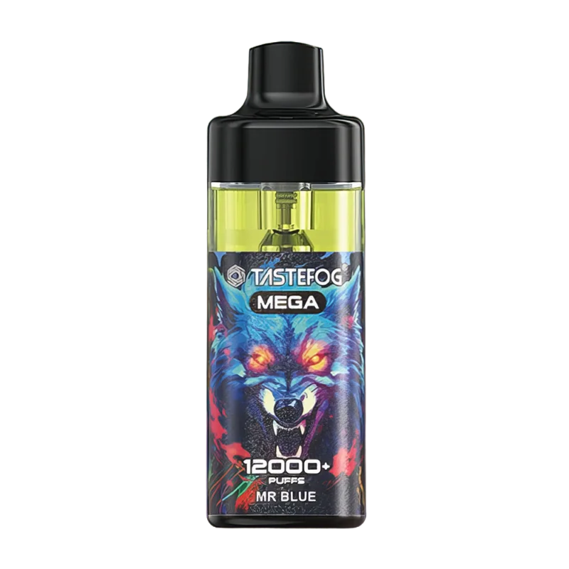 TASTEFOG MEGA 12000 puffs 2% Nicotine Rechargeable Disposable Pod ...